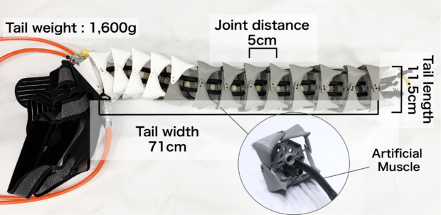 慶應、脊椎動物の尻尾を模倣したウェアラブルロボットテールデバイス「Arque」発表。身体のバランス制御に活用など | Seamless